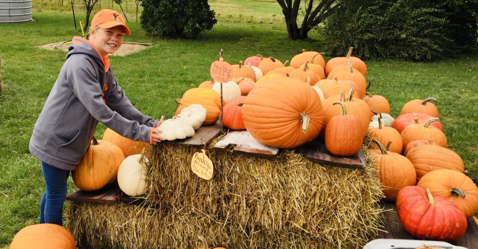 Pumpkin Patch – Mulberry Pond