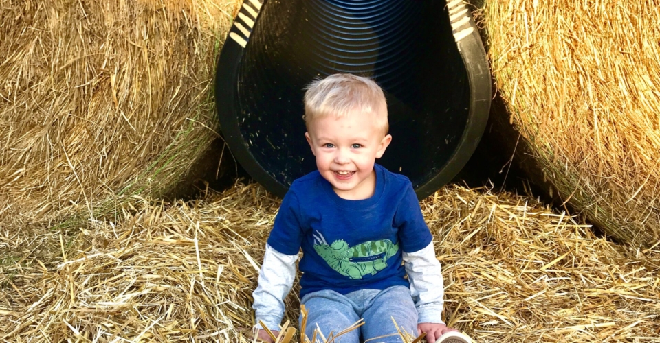 Pumpkin Patch – Mulberry Pond