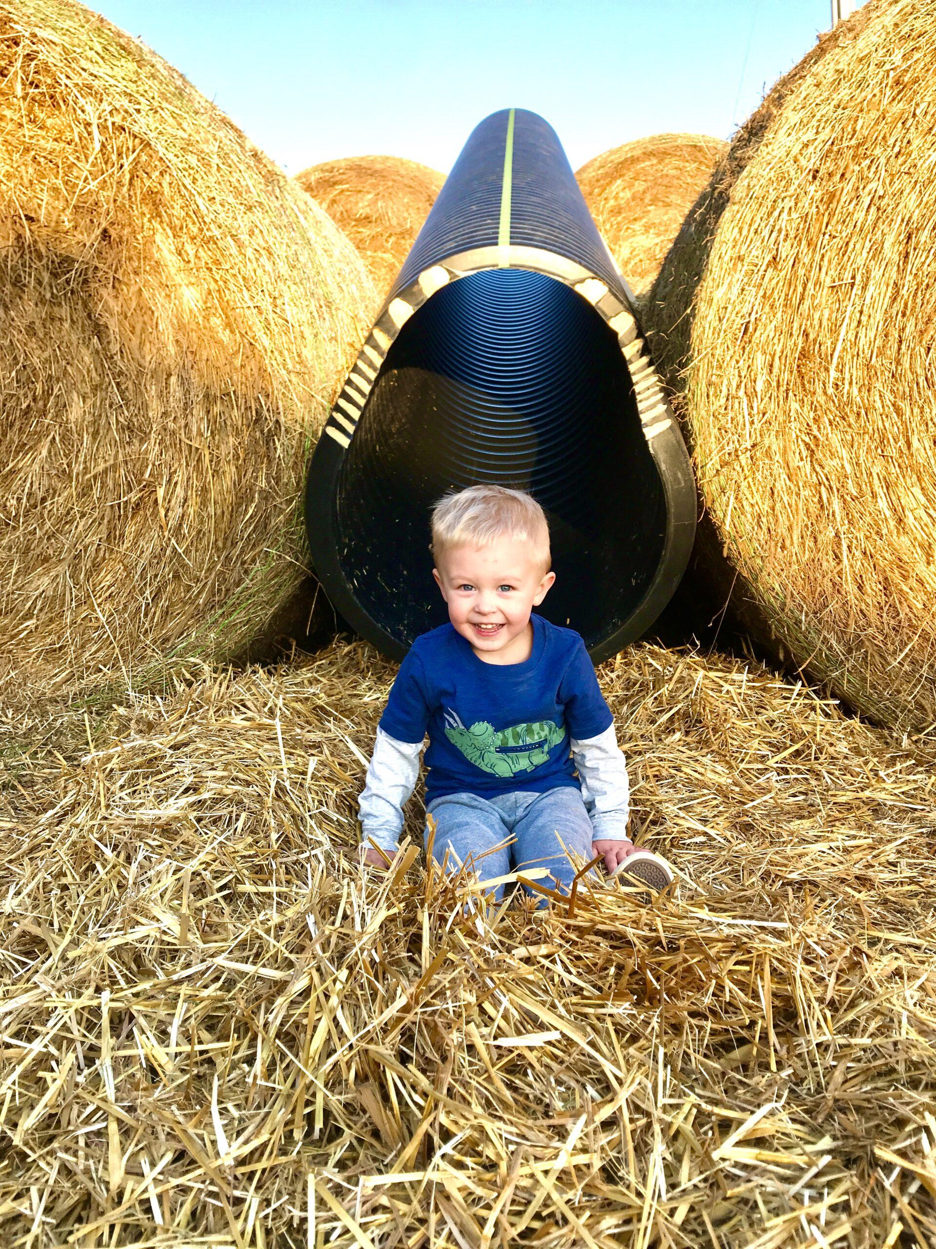 Pumpkin Patch – Mulberry Pond